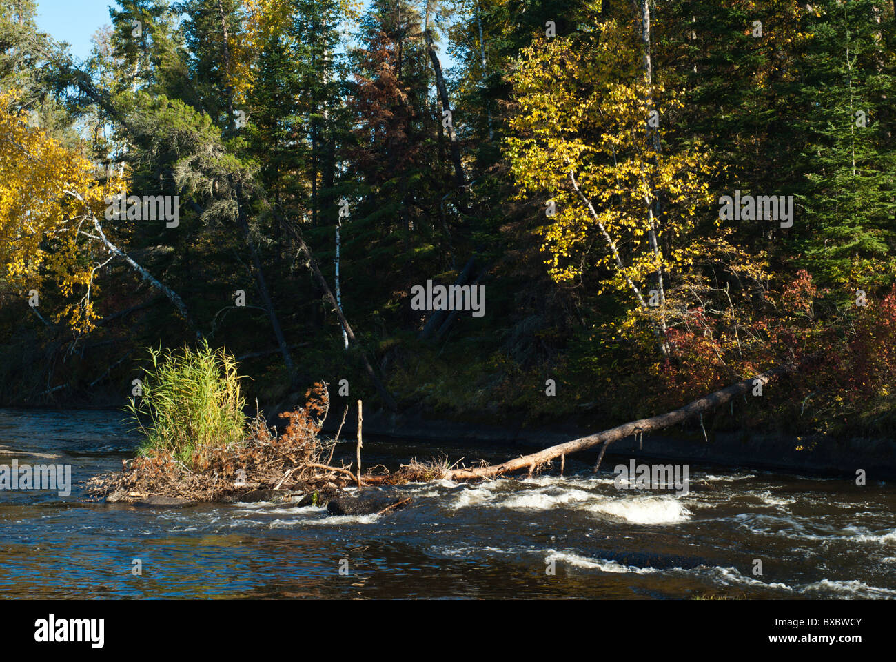 Whiteshell Manitoba Canada Stock Photo - Alamy