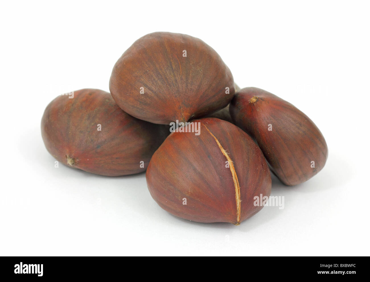 Chestnuts in shell hi-res stock photography and images - Alamy