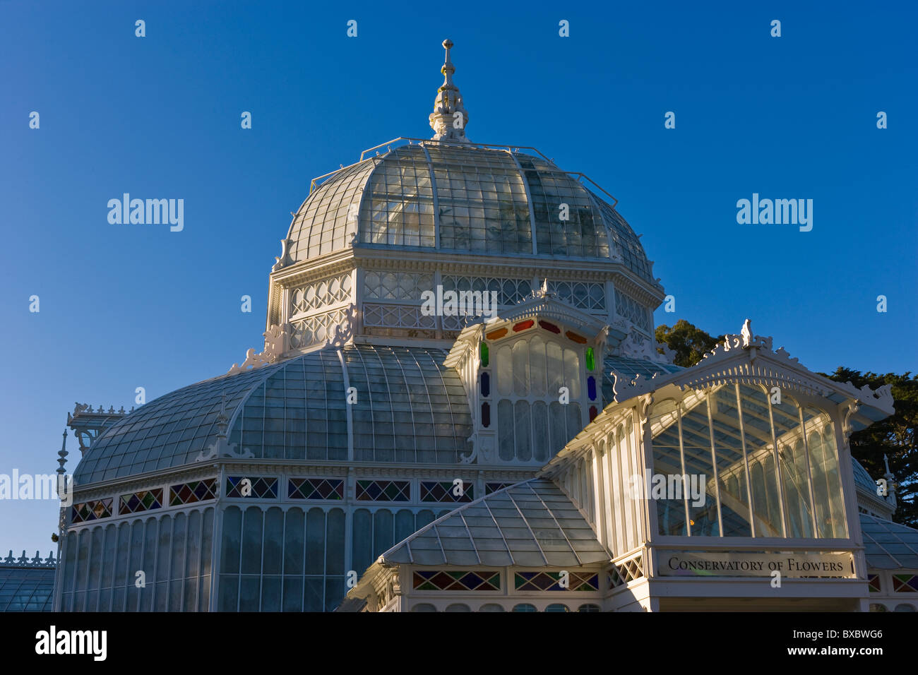 Victorian conservatory flowers botanical garden hi-res stock ...