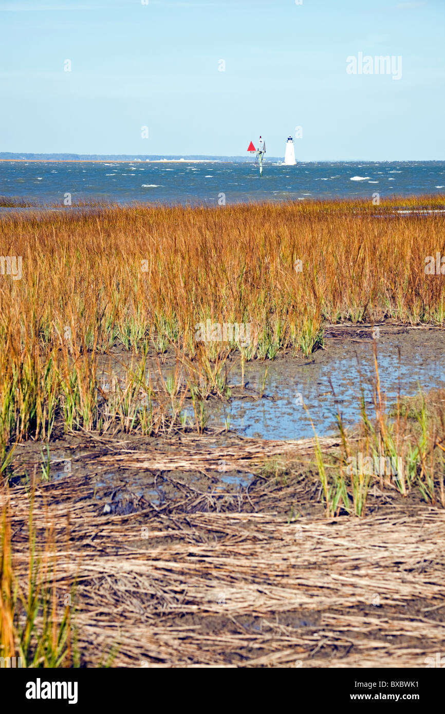 Distant view of Cockspur Island, Lighthouse Stock Photo - Alamy