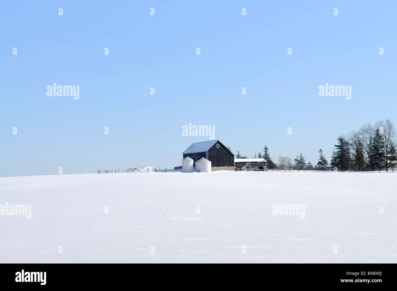 Field in heavy snow hi-res stock photography and images - Alamy