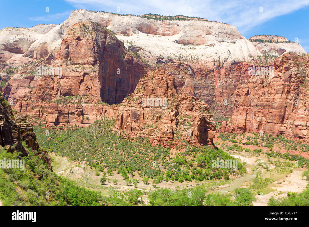 Zion forest hi-res stock photography and images - Alamy