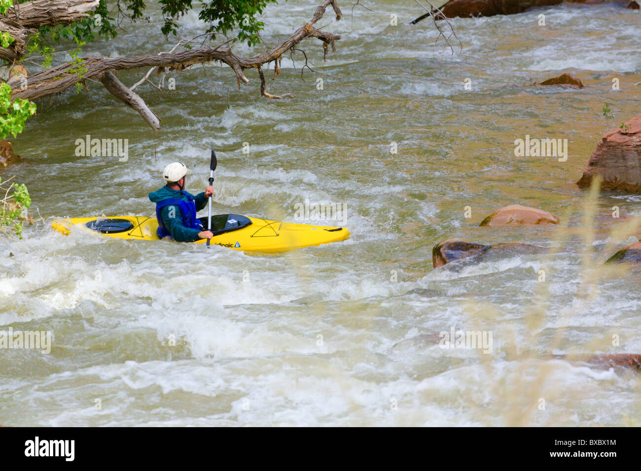 Kayaking in Zion Stock Photo - Alamy