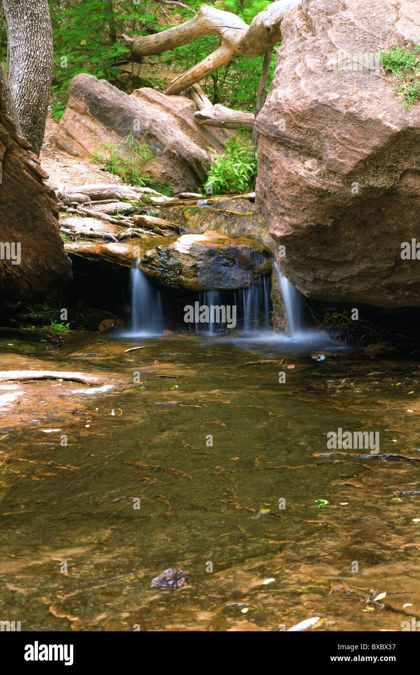 A small creek in Zion National Park Stock Photo - Alamy