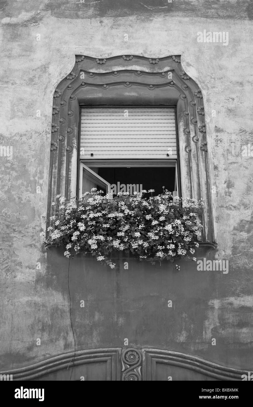 Historic building in downtown Timisoara, Romania Stock Photo - Alamy