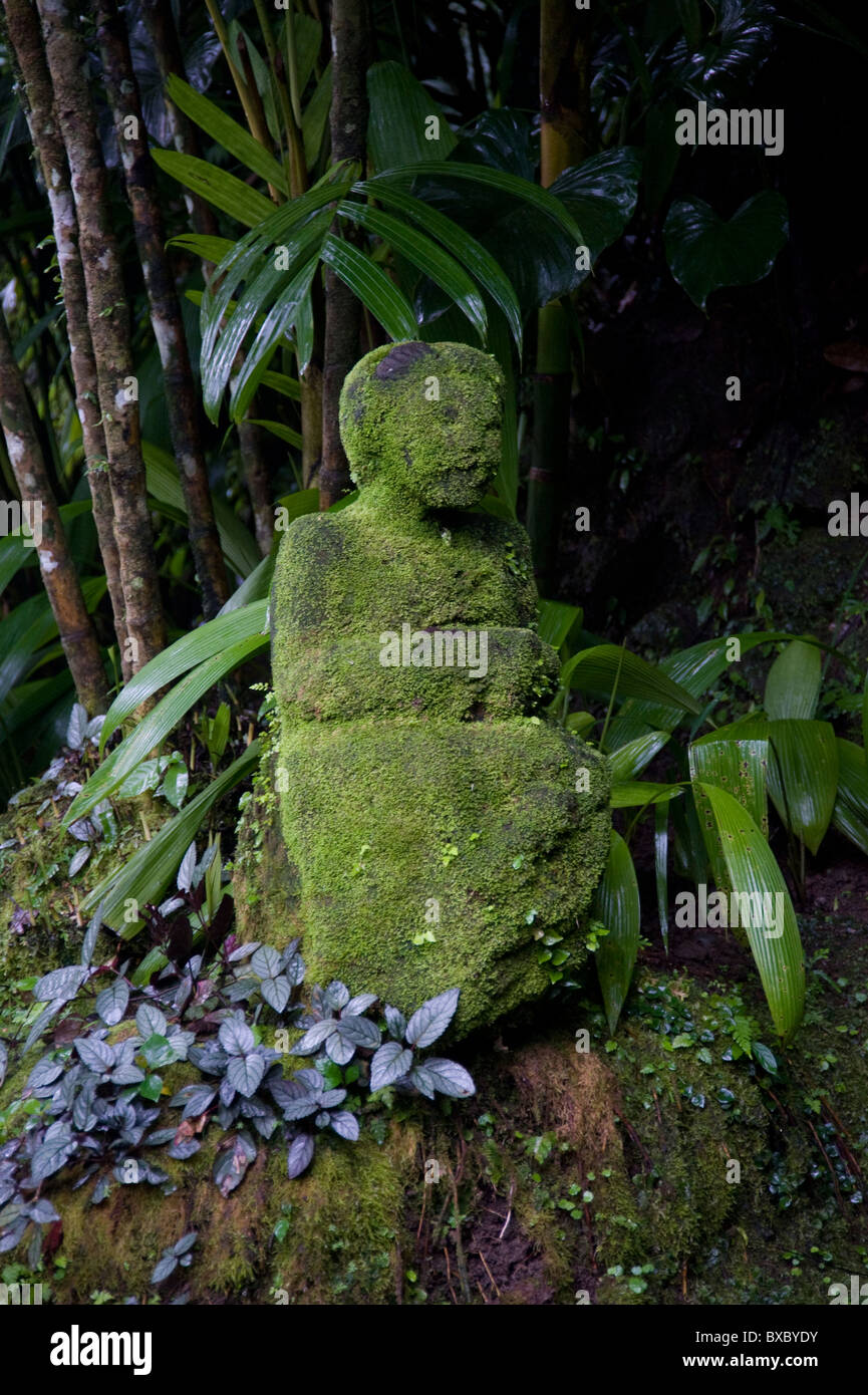 Moss covered statue in Bali Stock Photo - Alamy