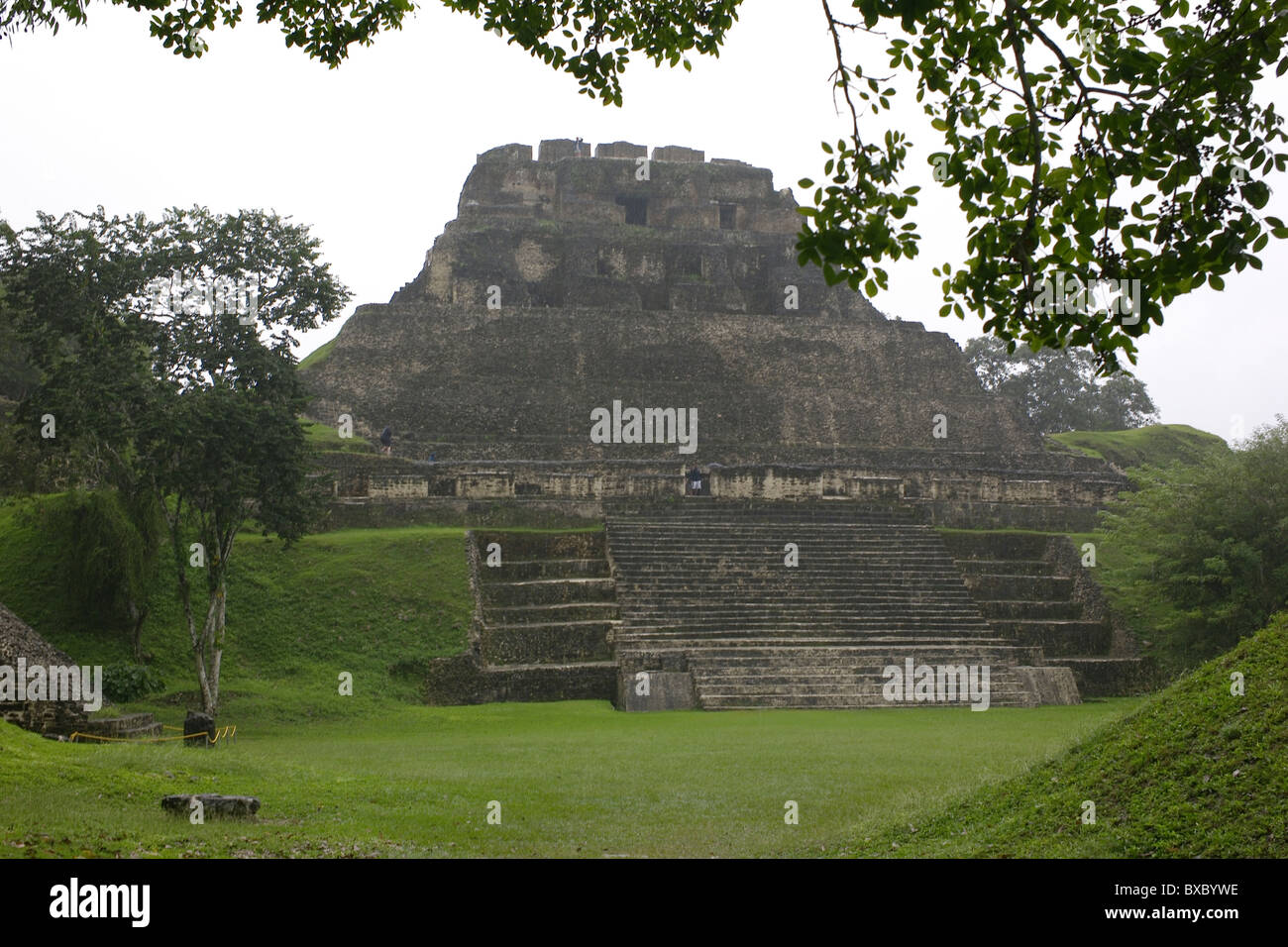 Mayan Temple Ruins Belize Archeology High Resolution Stock Photography ...