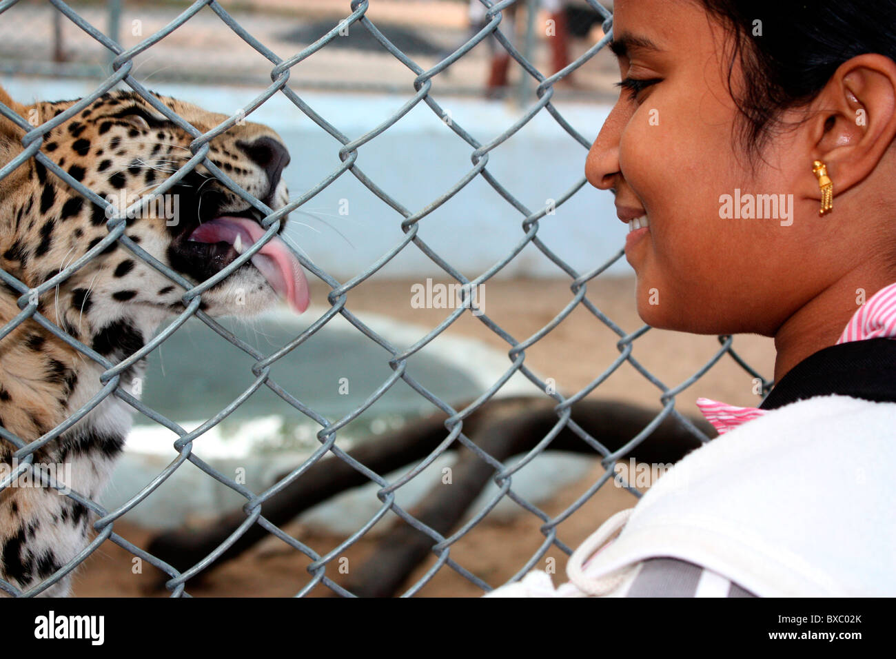 An Indian girl attempting to befriend a leopard in a zoo Stock Photo ...
