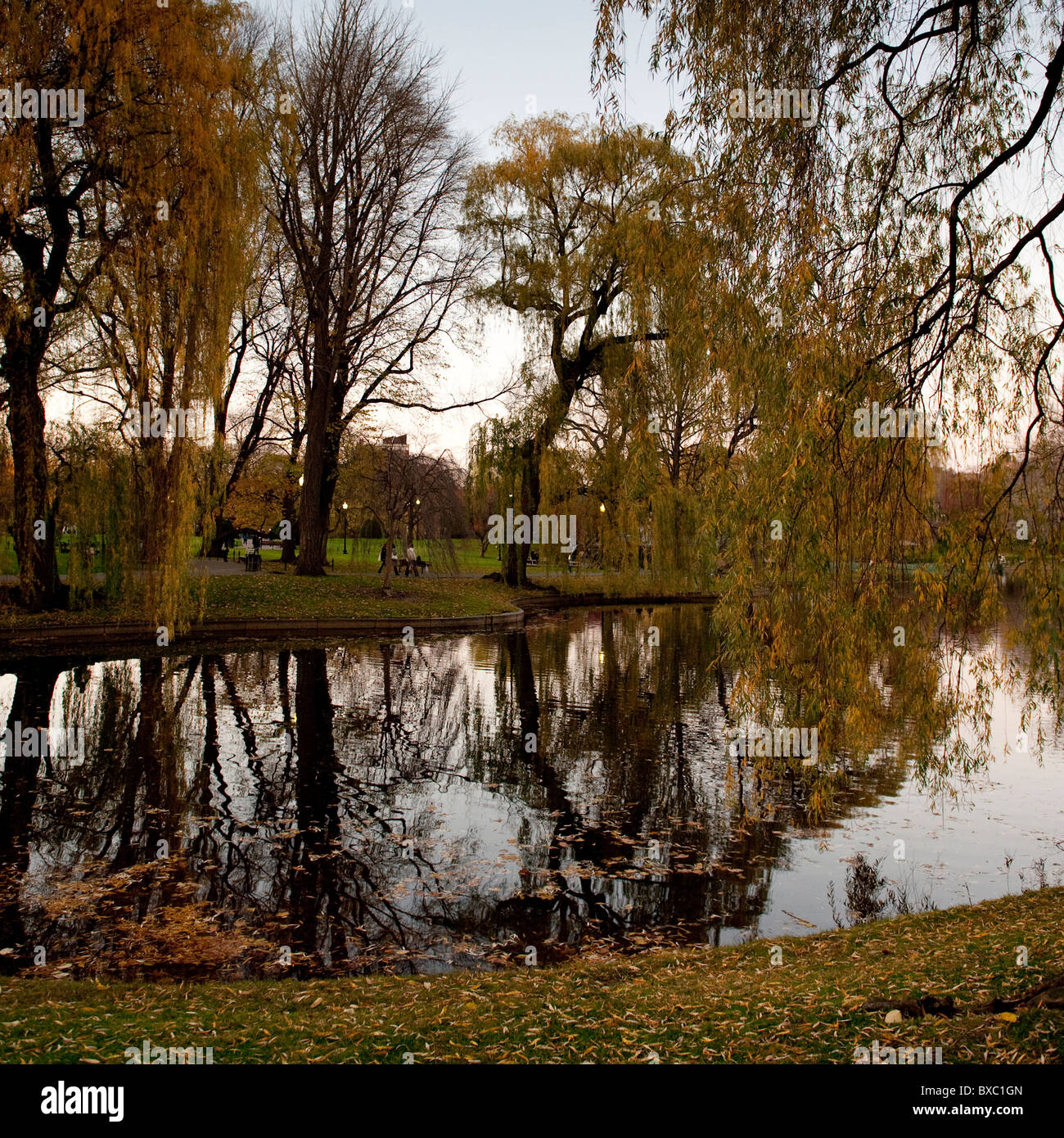 Massachusetts park ponds hi-res stock photography and images - Alamy
