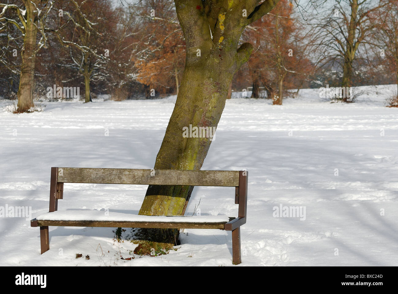 winter scene england uk Stock Photo - Alamy