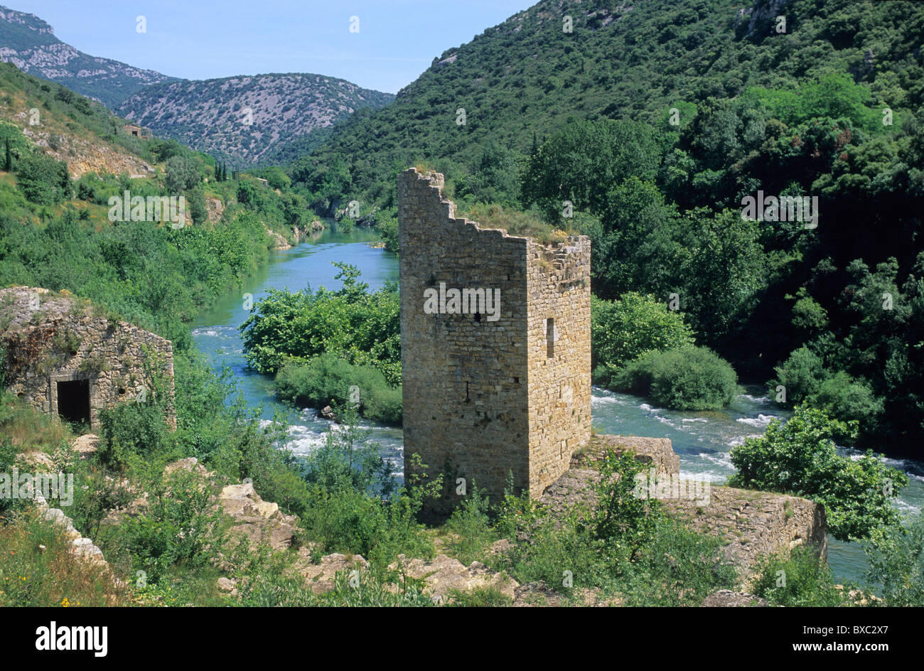 Gorges of the Herault river, Herault, France Stock Photo - Alamy