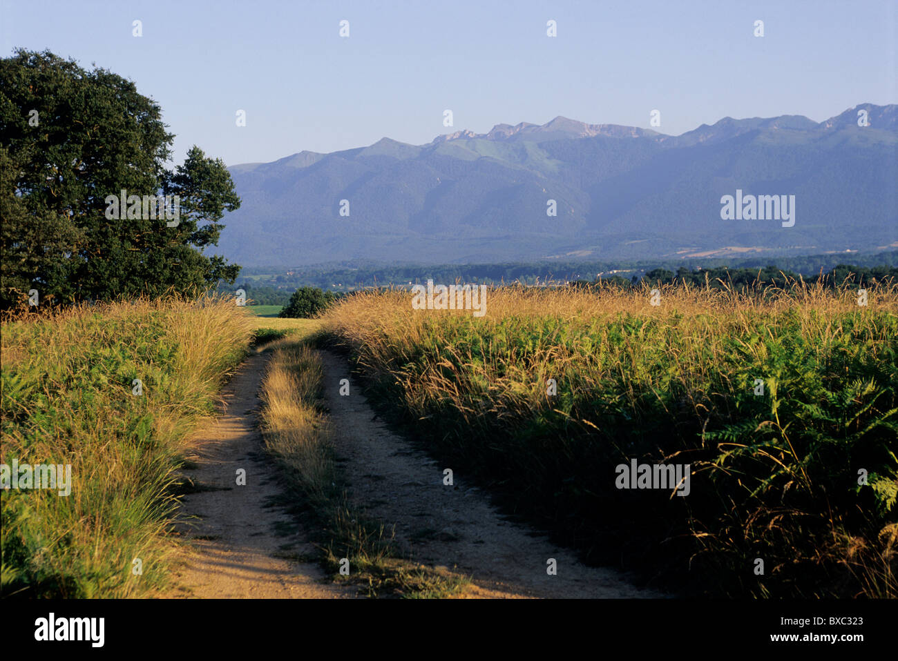 The way of St James near Oloron-Sainte-Marie, Pyrenees-Atlantiques ...