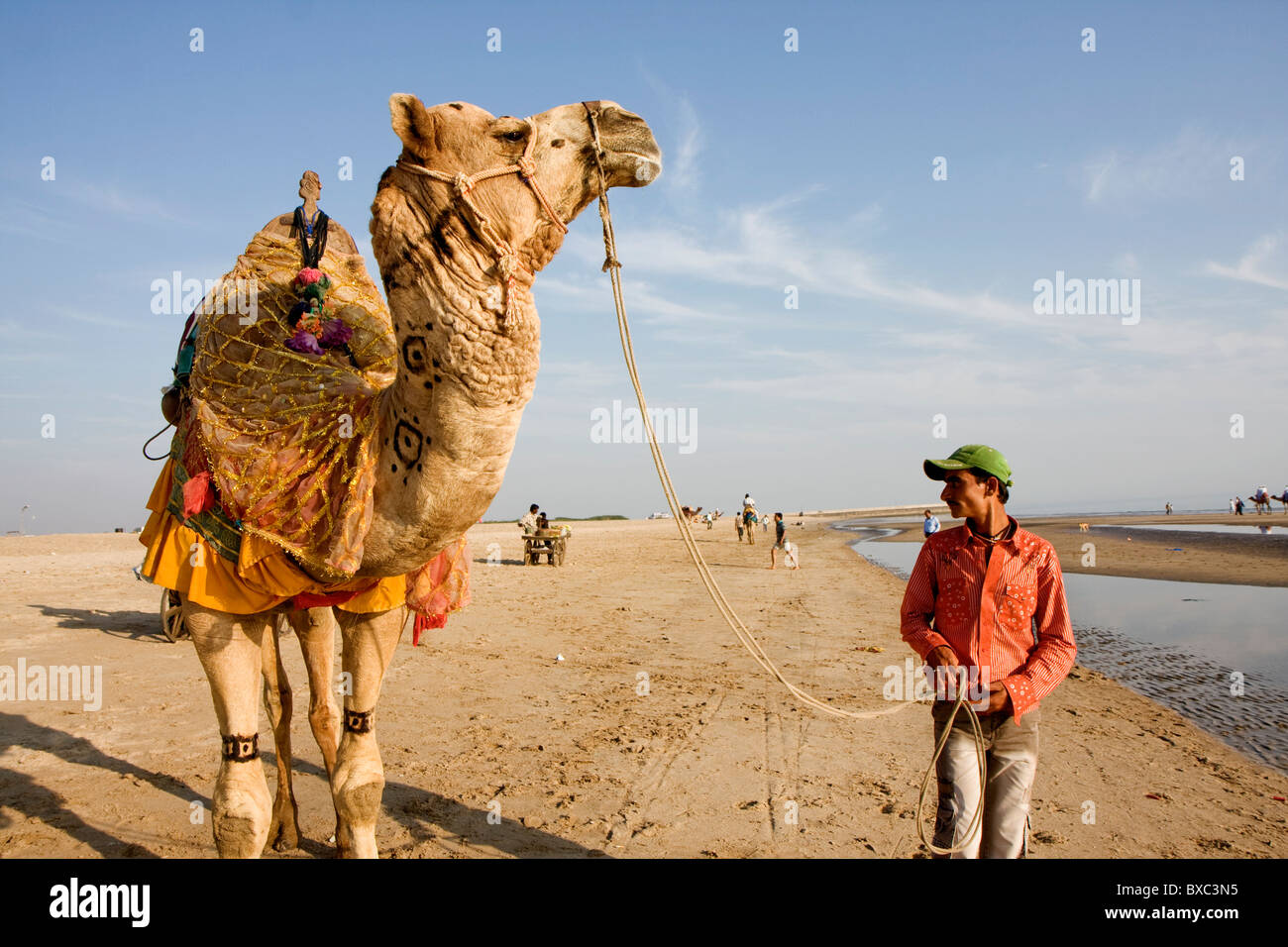 Indian looking camel mandvi gujarat hi-res stock photography and images ...