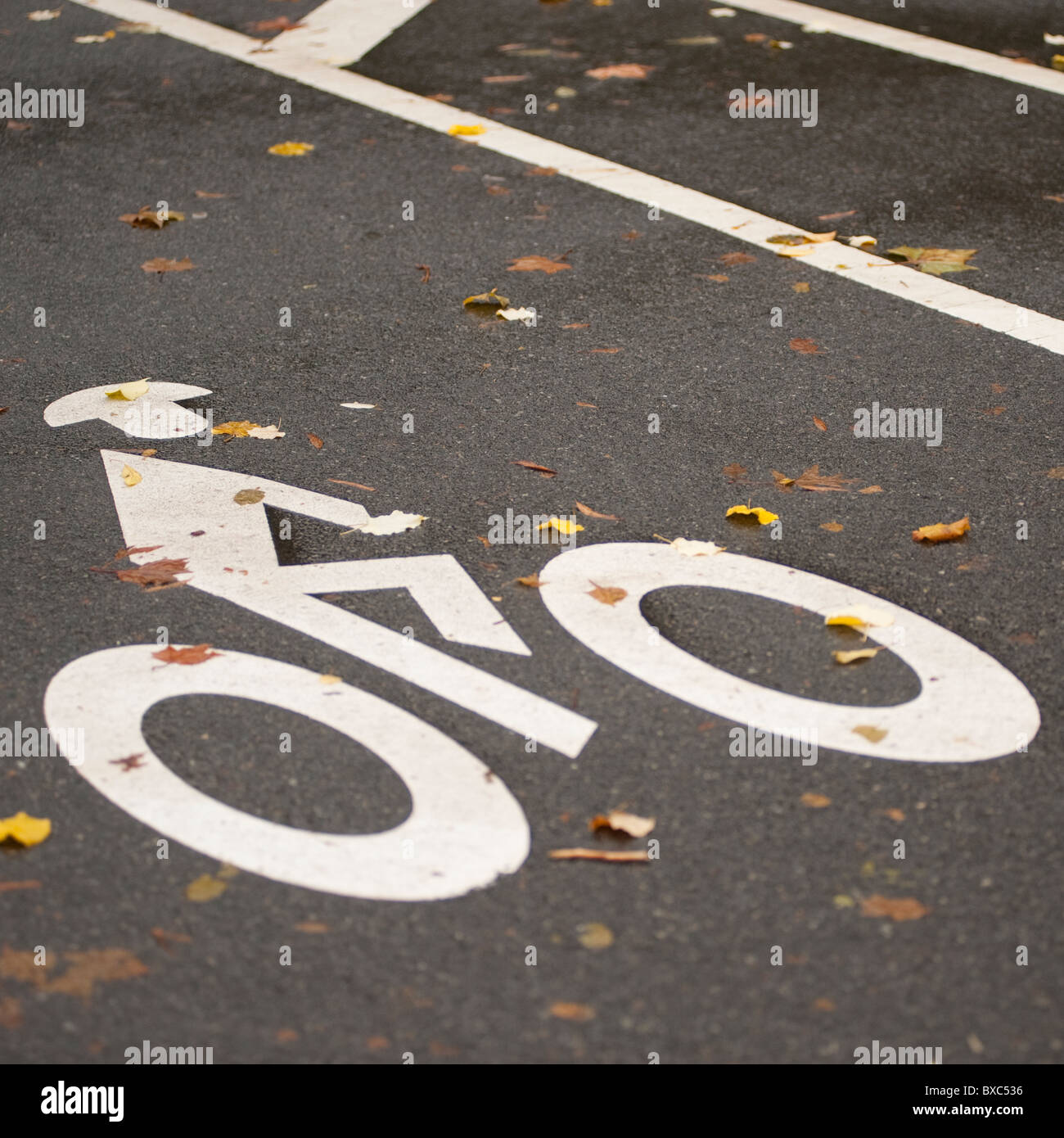 Bicycle path logo in Central Park in Manhattan, New York City, U.S.A ...