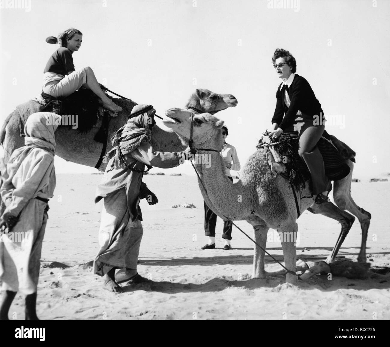 Man riding camel in the desert Black and White Stock Photos & Images ...