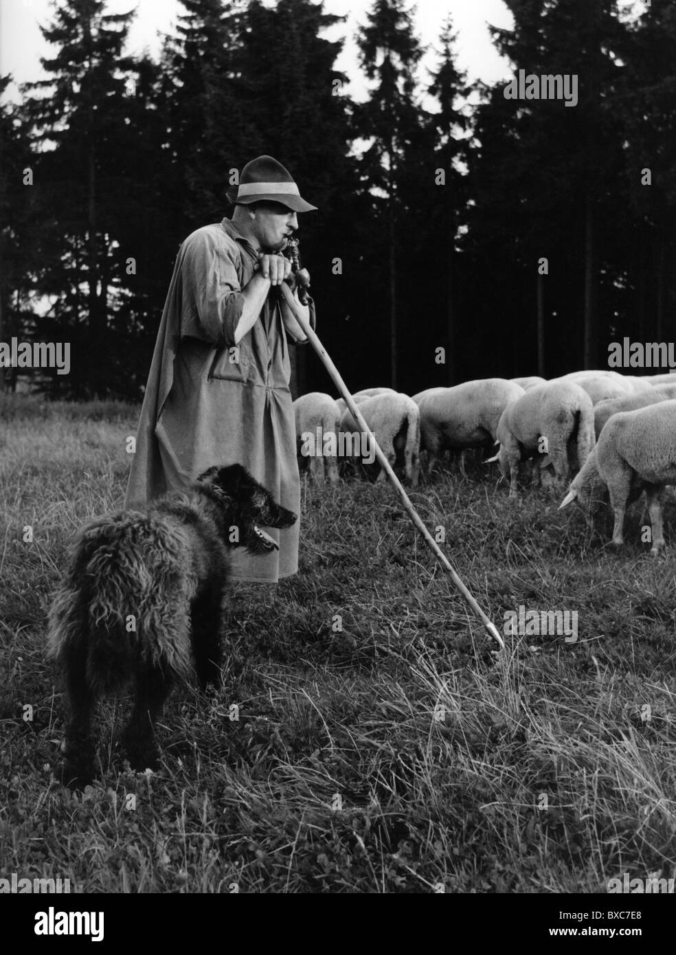 Shepherd people hi-res stock photography and images - Alamy