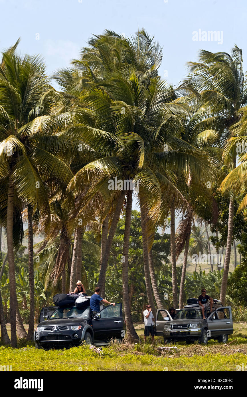 Haiti, Sud Province, group of surfers under coconut trees Stock Photo ...