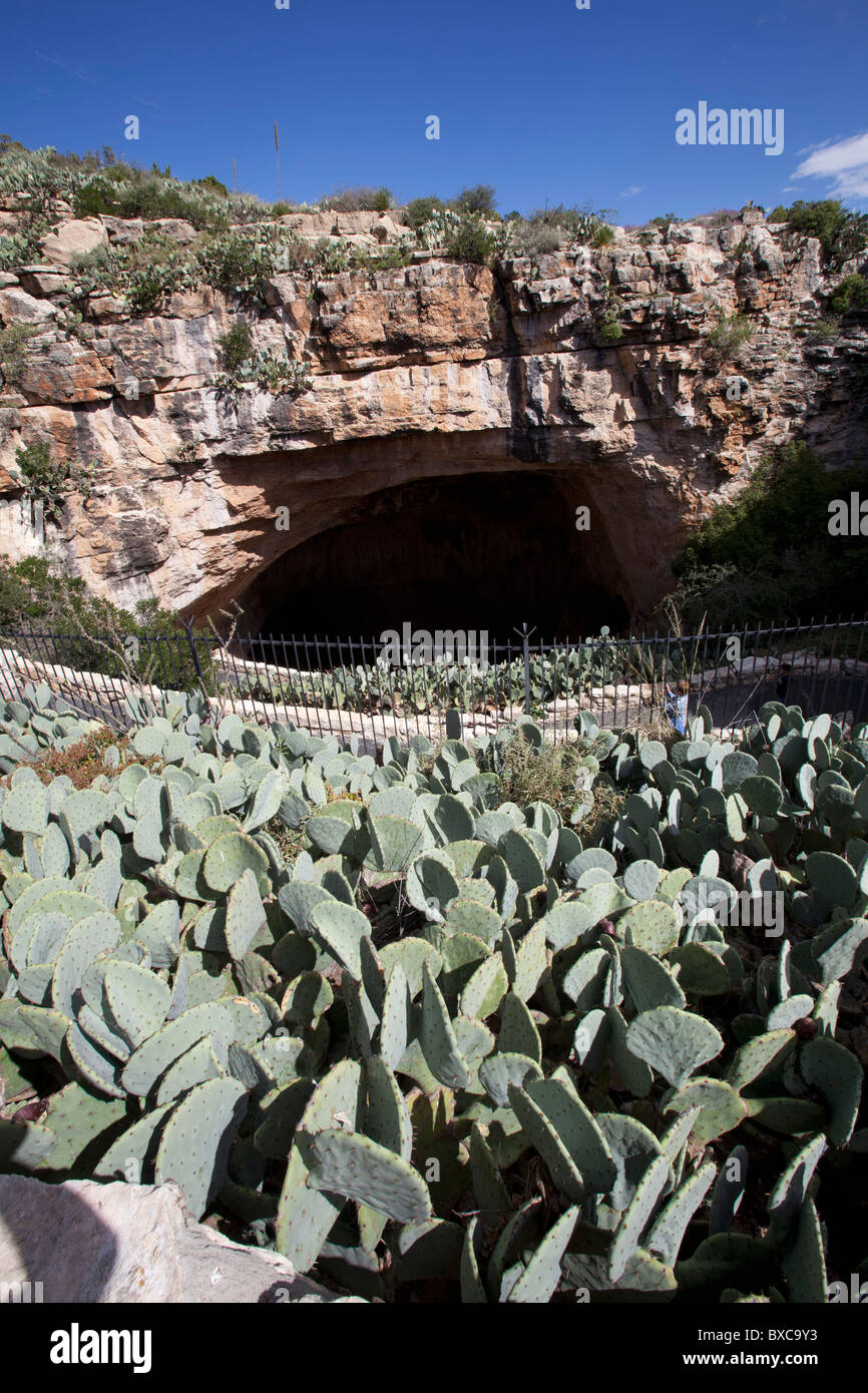 Carlsbad, New Mexico - The natural entrance to Carlsbad Caverns in ...