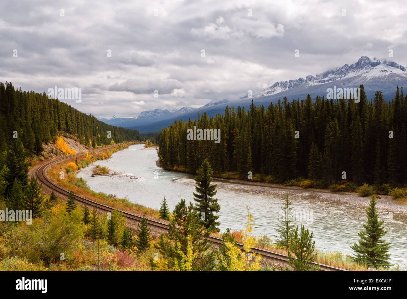 A train passes through the Morant's Curve in Bow Valley Parkway with Bow Range as background ...