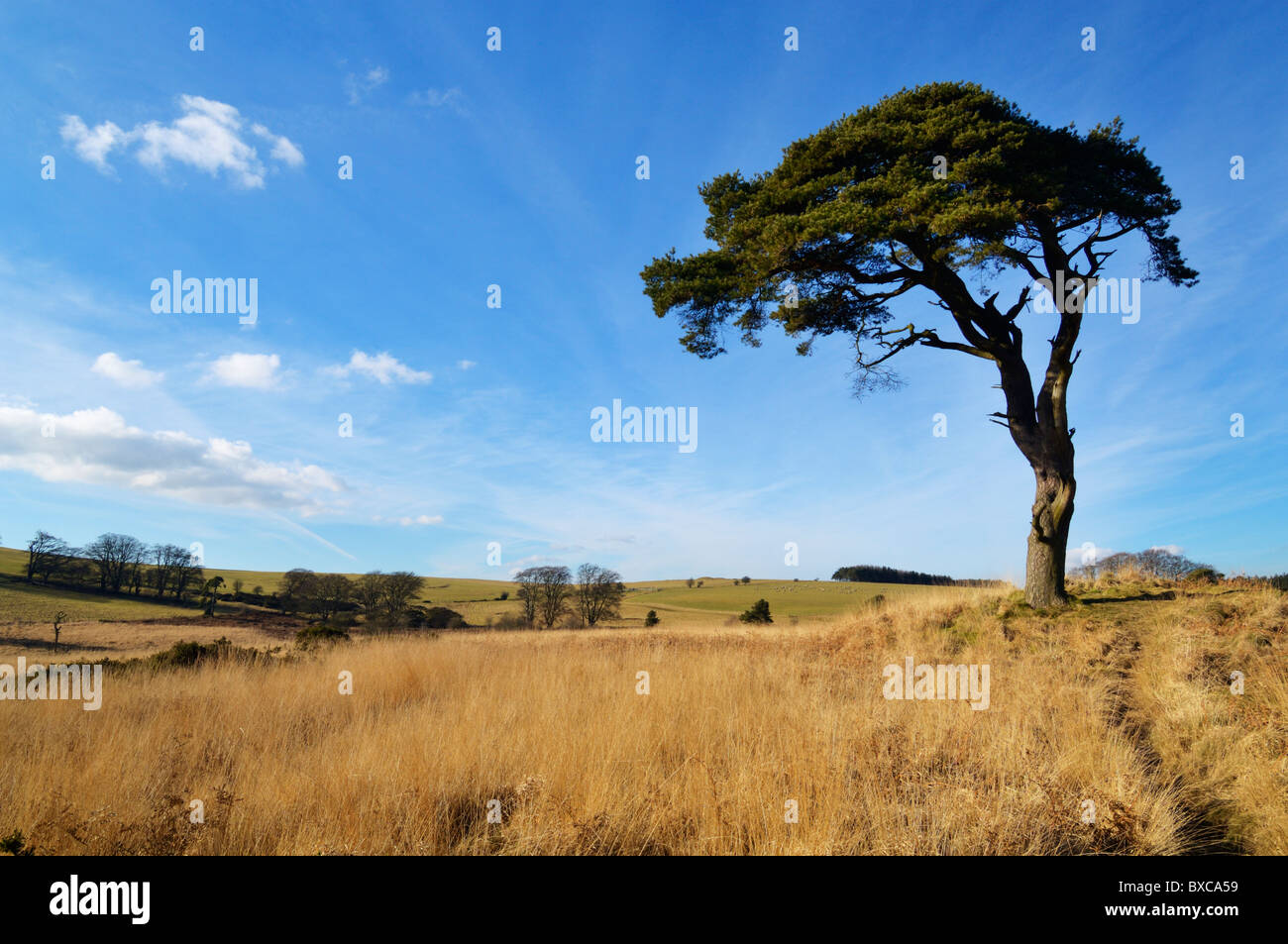 Priddy Pools High Resolution Stock Photography and Images - Alamy