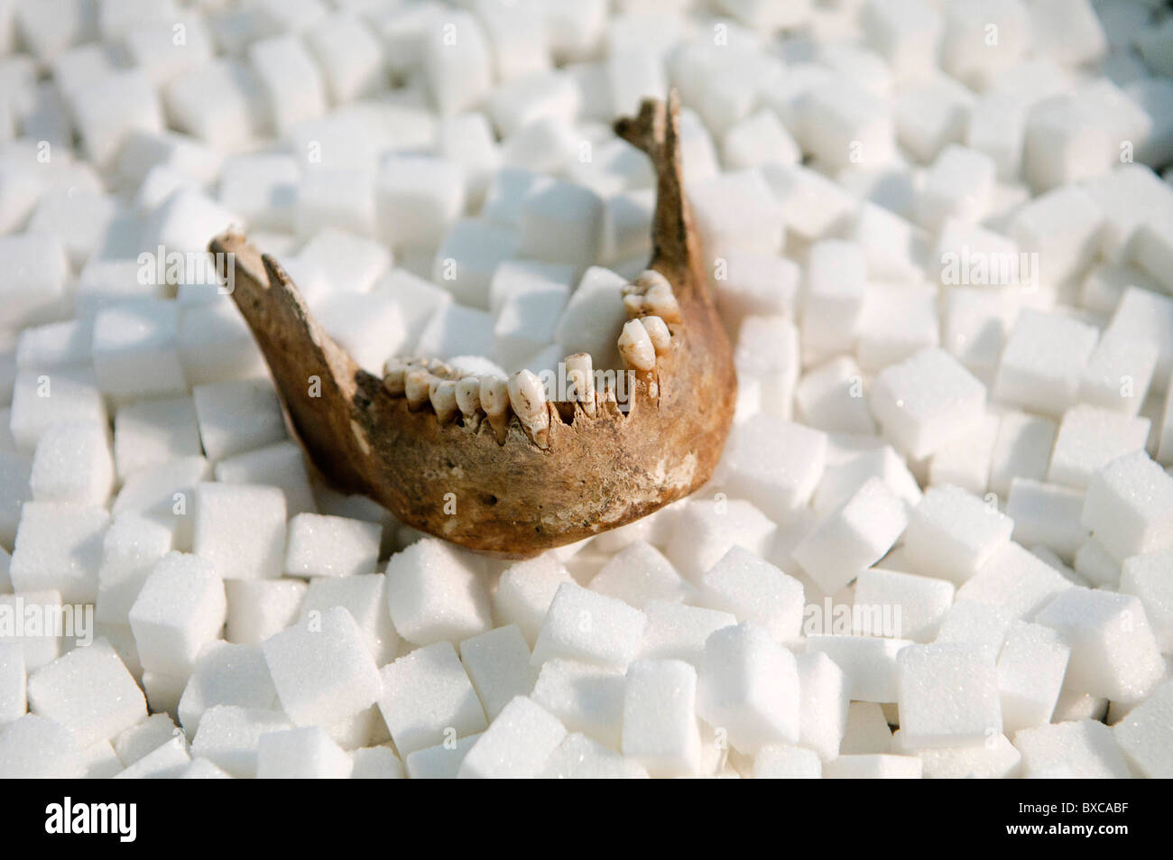 Tooth Decay Cavity Stock Photos & Tooth Decay Cavity Stock Images - Alamy