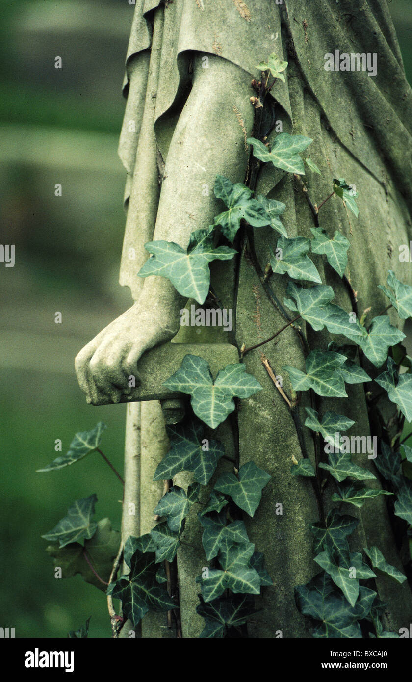 Rising from the grave hi-res stock photography and images - Alamy