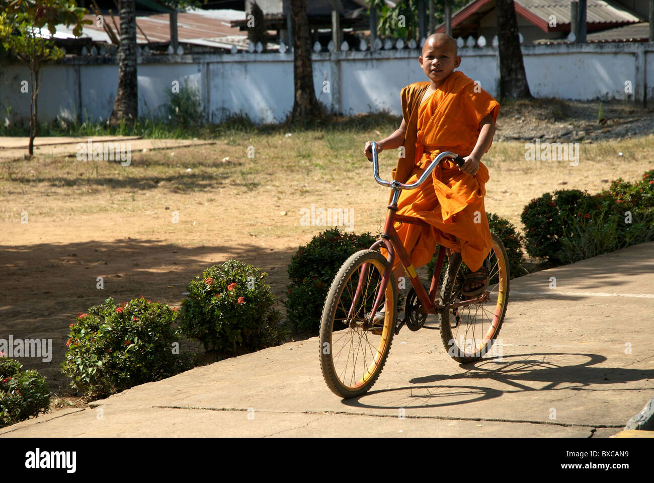 Boy driving bicycle traffic road hi-res stock photography and images ...
