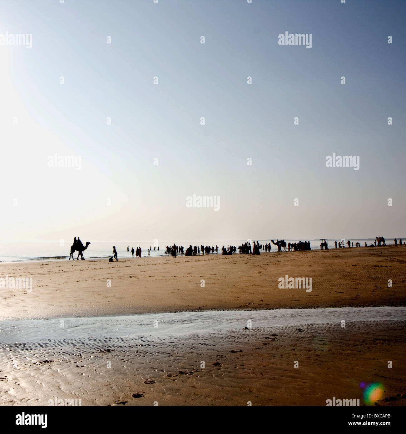 Mandvi beach, India Stock Photo - Alamy