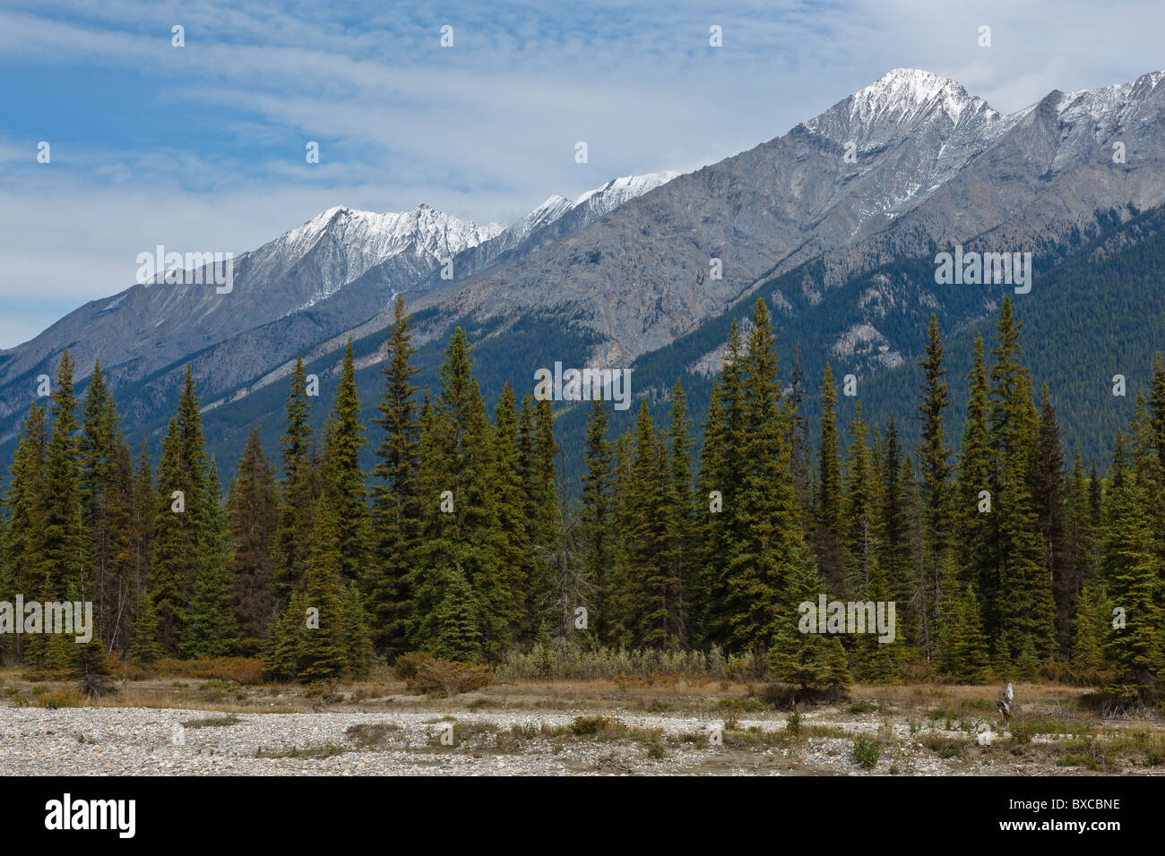 Simpson River, Kootenay National Park, British Columbia, Canada Stock ...