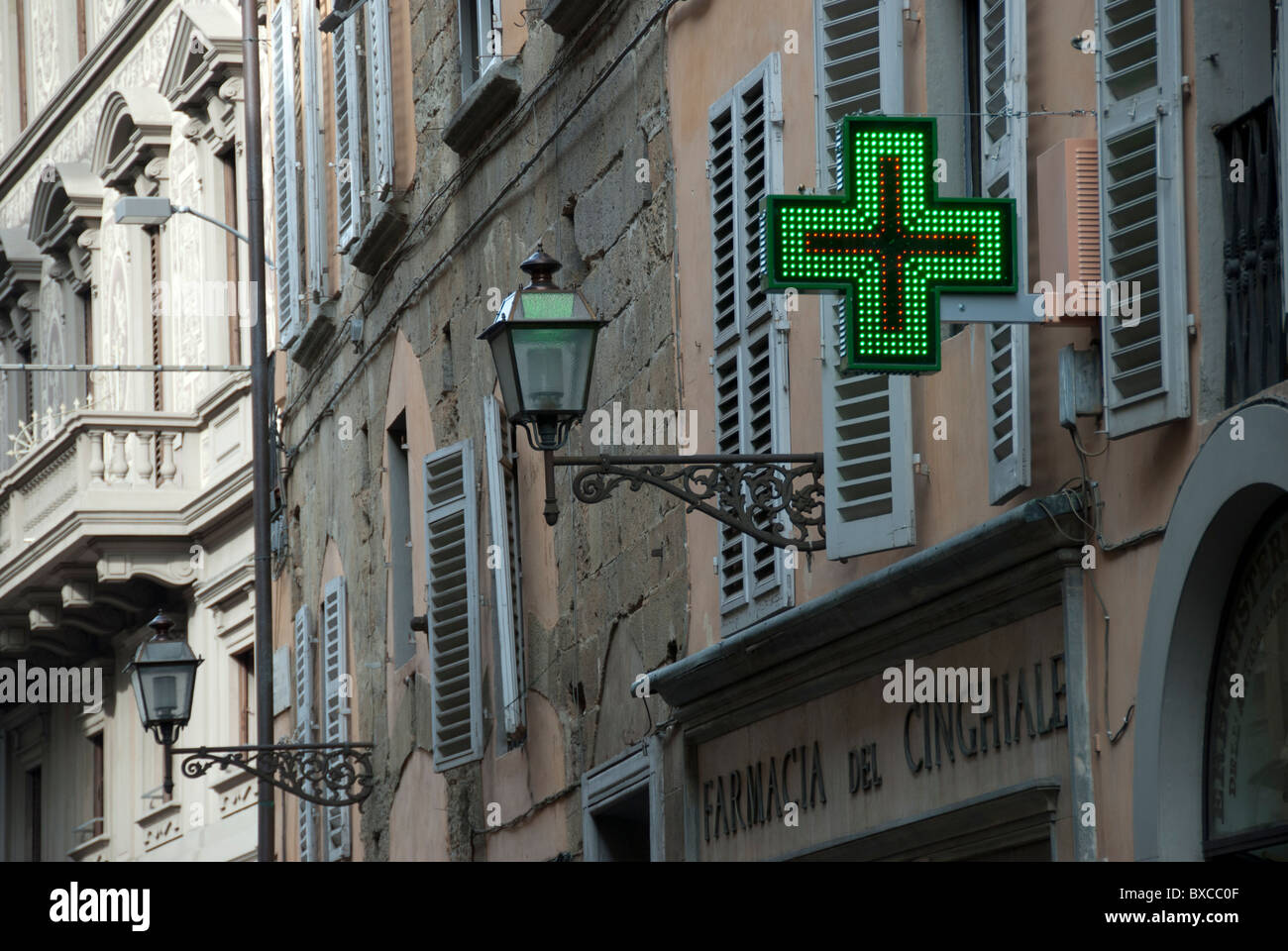 Cinghiale hi-res stock photography and images - Alamy