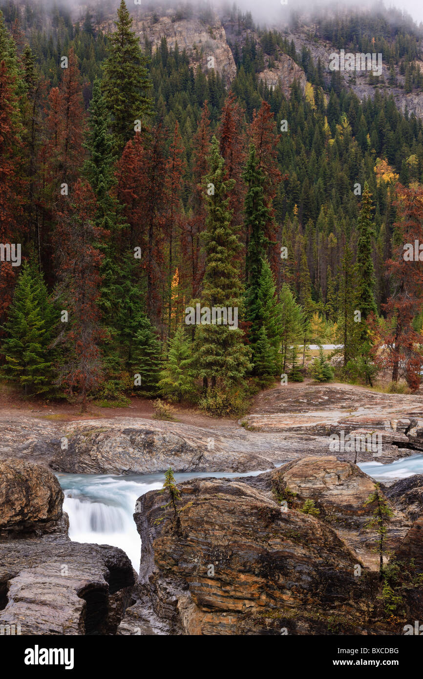 Natural Bridge and Kicking Horse River, Yoho National Park, British ...