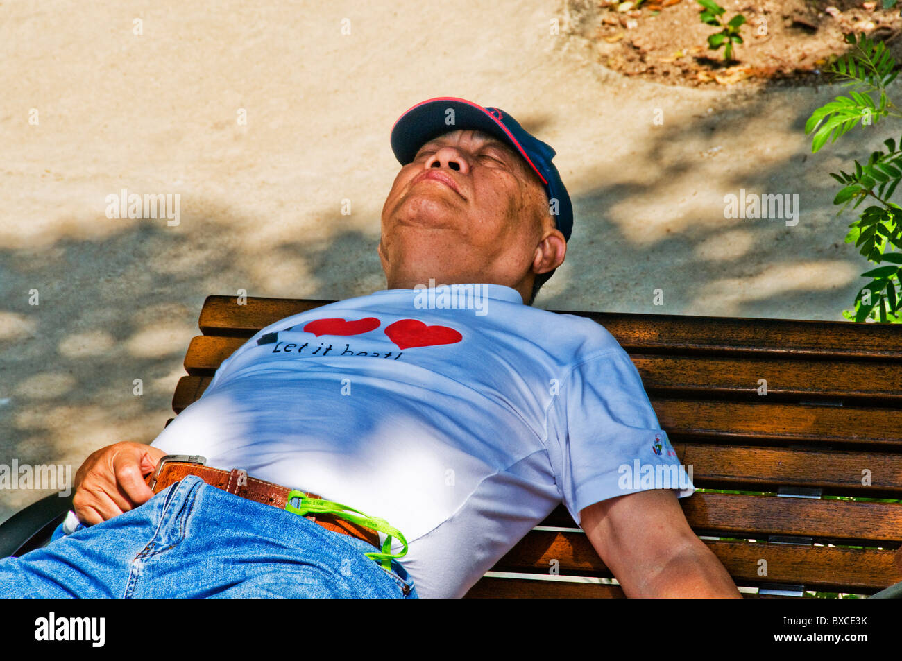 Mature Asian man taking power nap on park bench in middle of day Stock ...