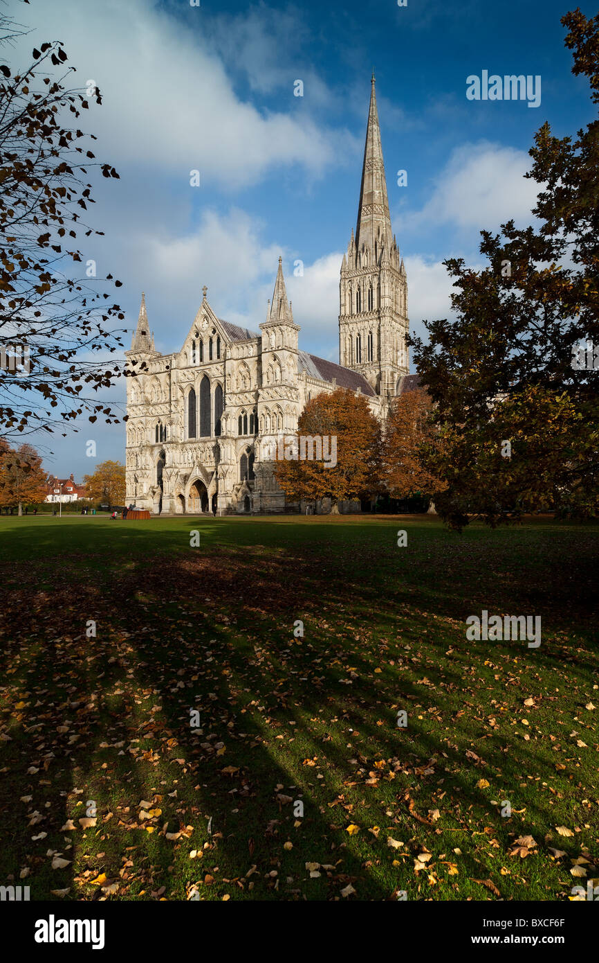 Salisbury Cathedral in Autumn Stock Photo - Alamy