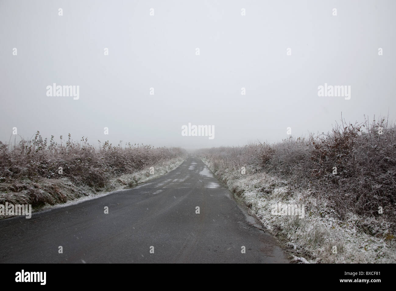 Rural winter scene, overcast, snow falling lightly, empty road with ...