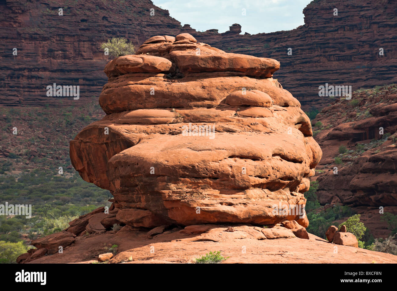 The Amphitheatre, from Kalarranga lookout, Finke Gorge National Park ...