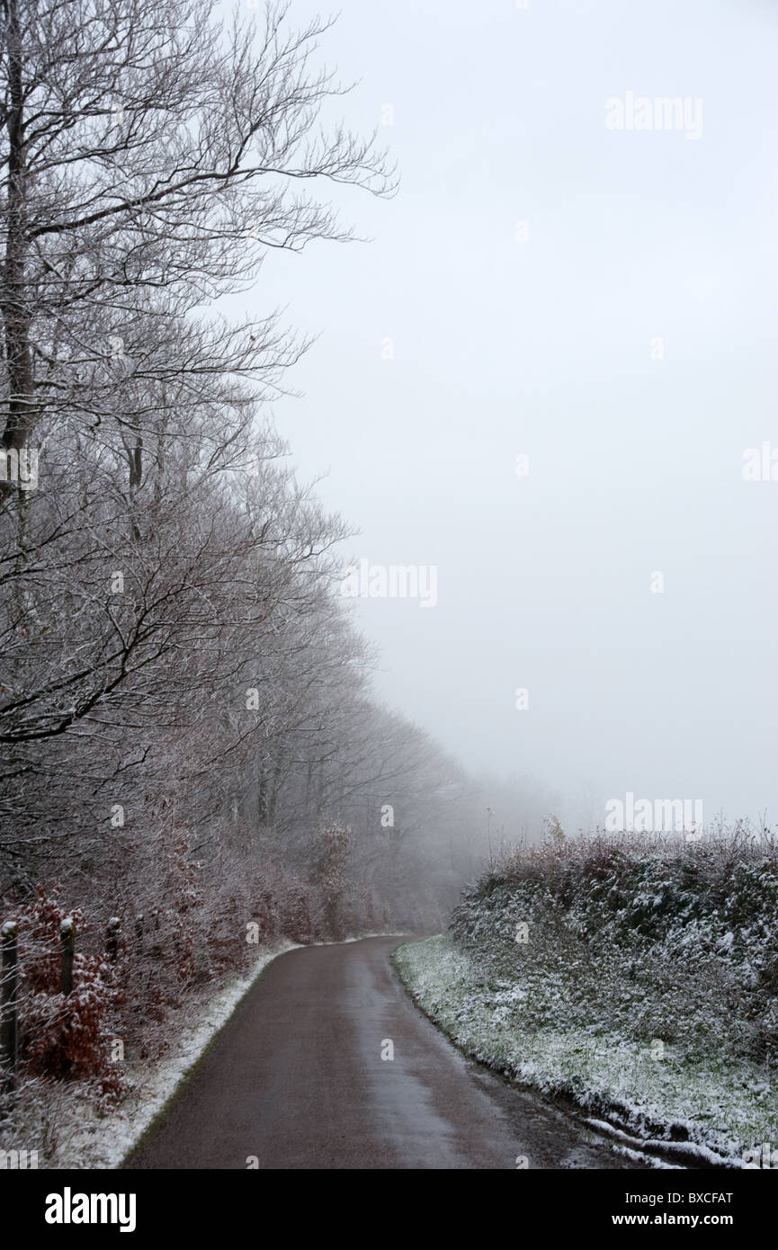 Country lane with trees hi-res stock photography and images - Alamy