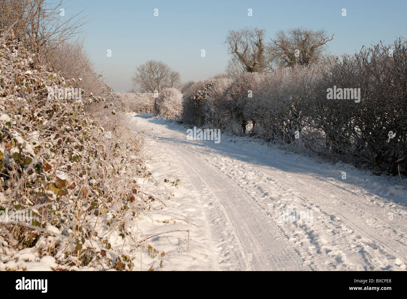 Hoar frost or soft rime on a cold winter day in Woodthorpe ...