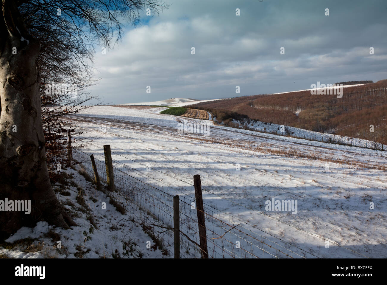 Winter on Melbury Down in Dorset Stock Photo - Alamy