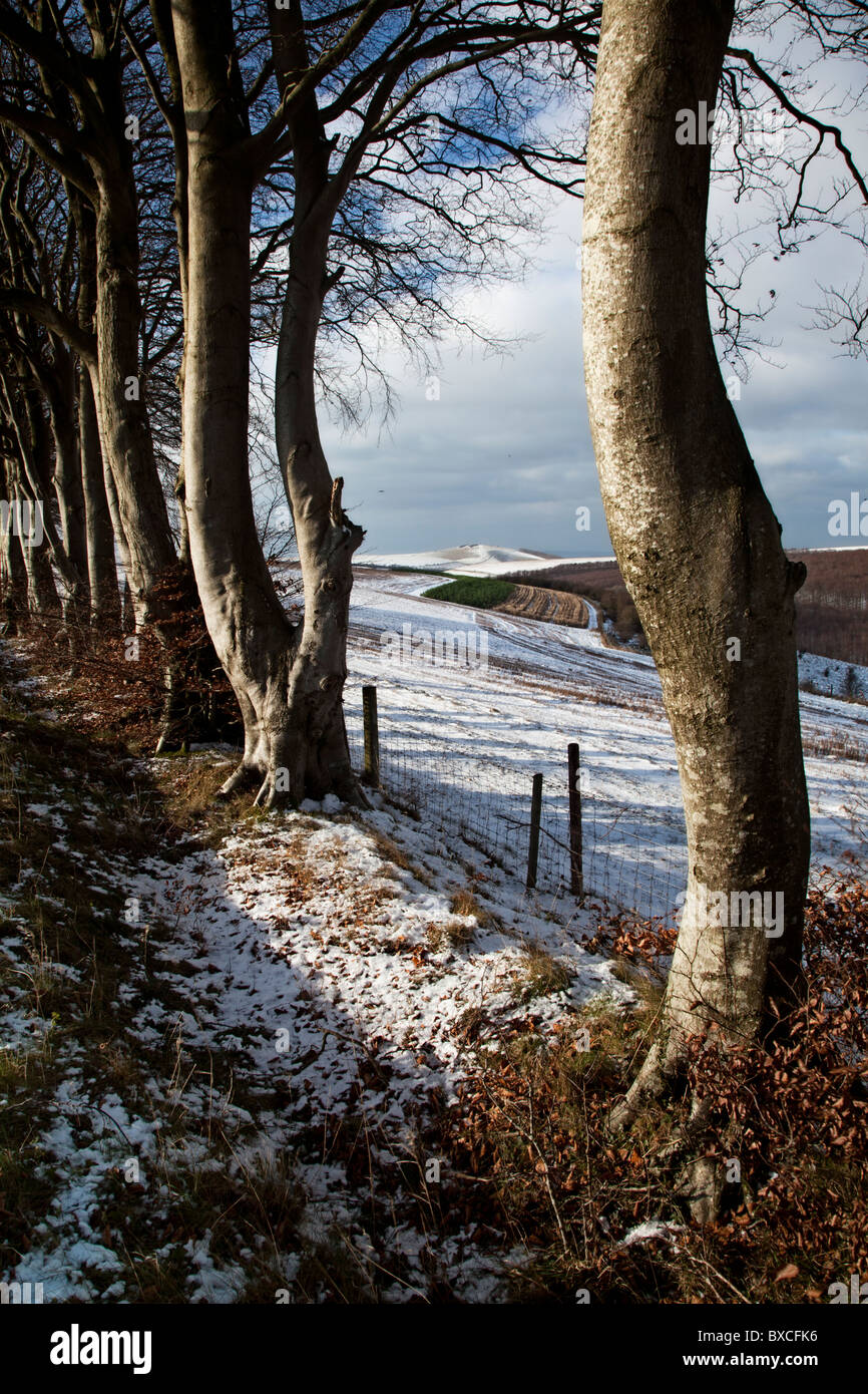 Shaftesbury dorset winter hi-res stock photography and images - Alamy