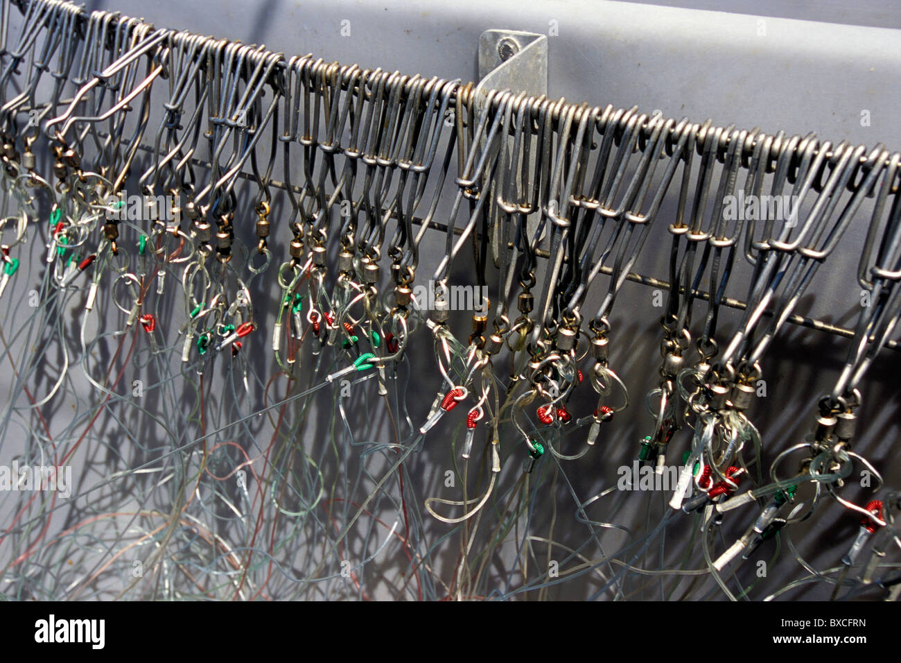 Commercial longline fishing for sharks, Pacific Ocean Stock Photo ...
