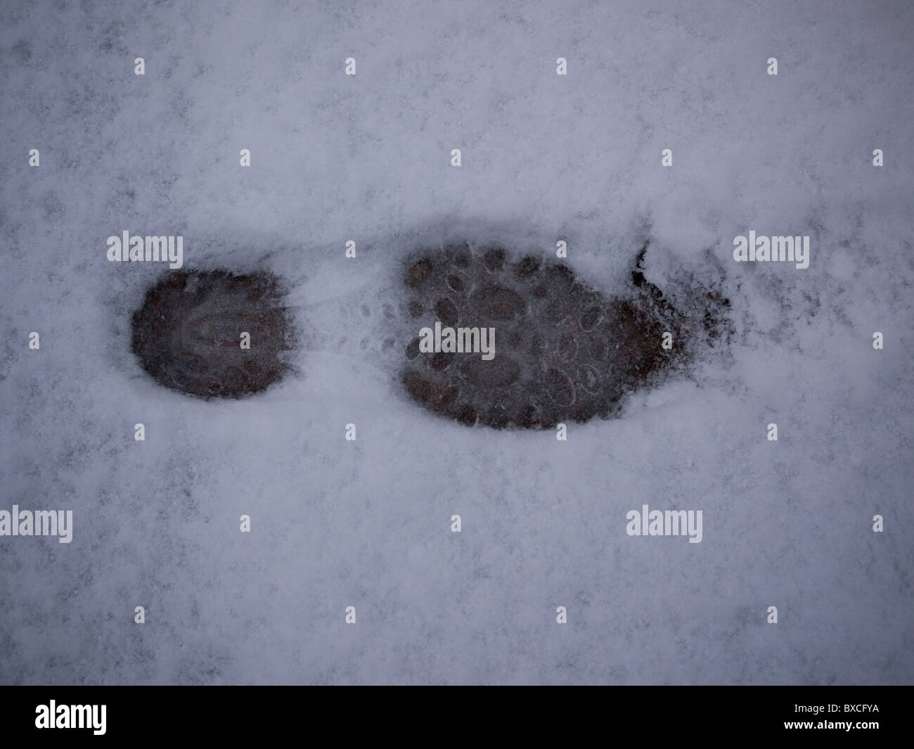 Tread Footprint High Resolution Stock Photography and Images - Alamy