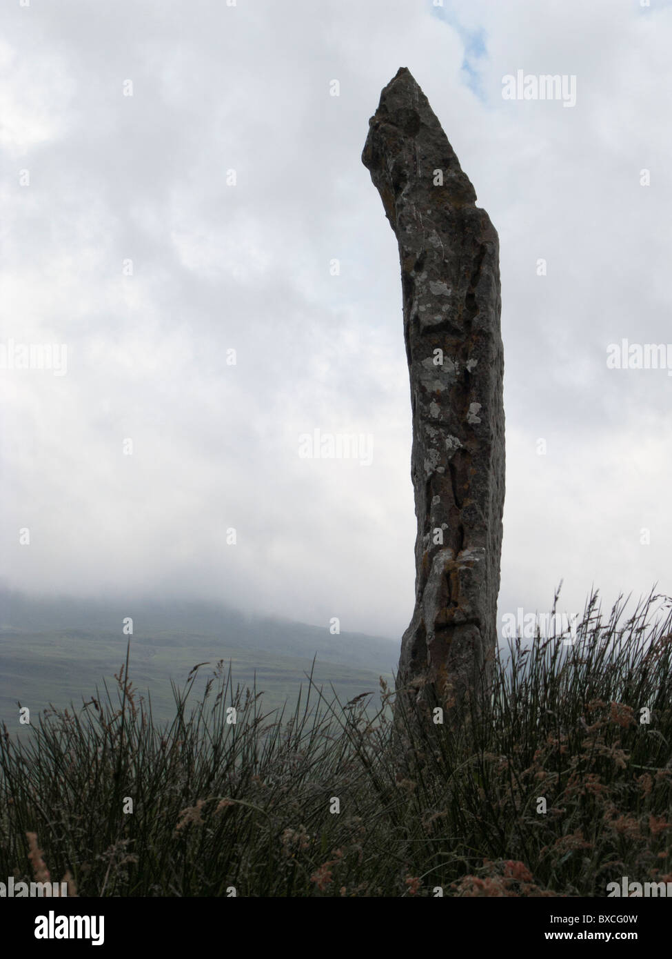 Dunvegan standing stone, Druim na Creige Stock Photo - Alamy