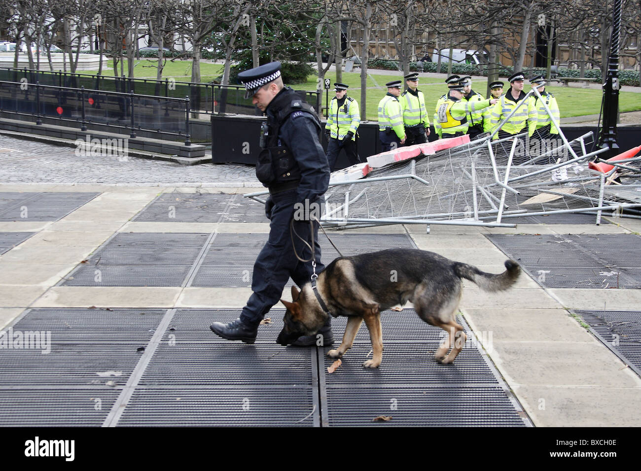 Police dog handler in Parliament grounds during student protests Stock ...