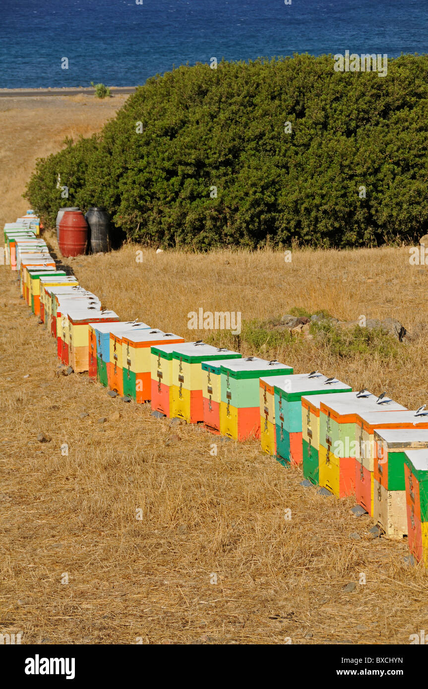 Colourful bee hives hi-res stock photography and images - Alamy