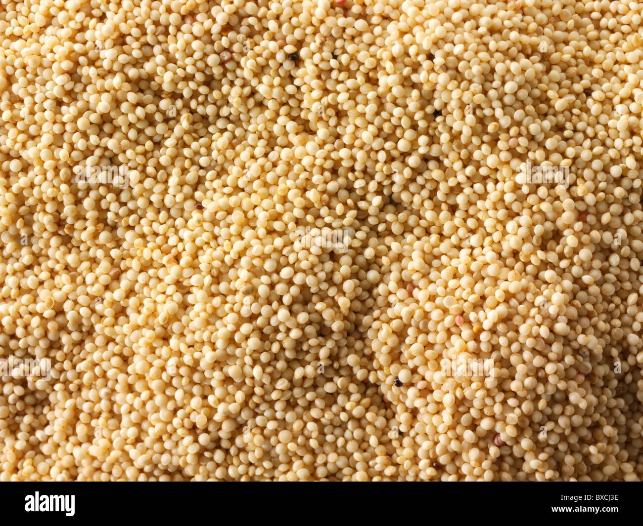 Un-cooked Amaranth supergrain - stock photos Stock Photo - Alamy