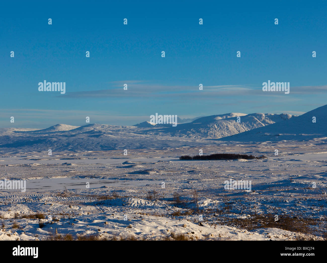 Desolate Winter Landscape