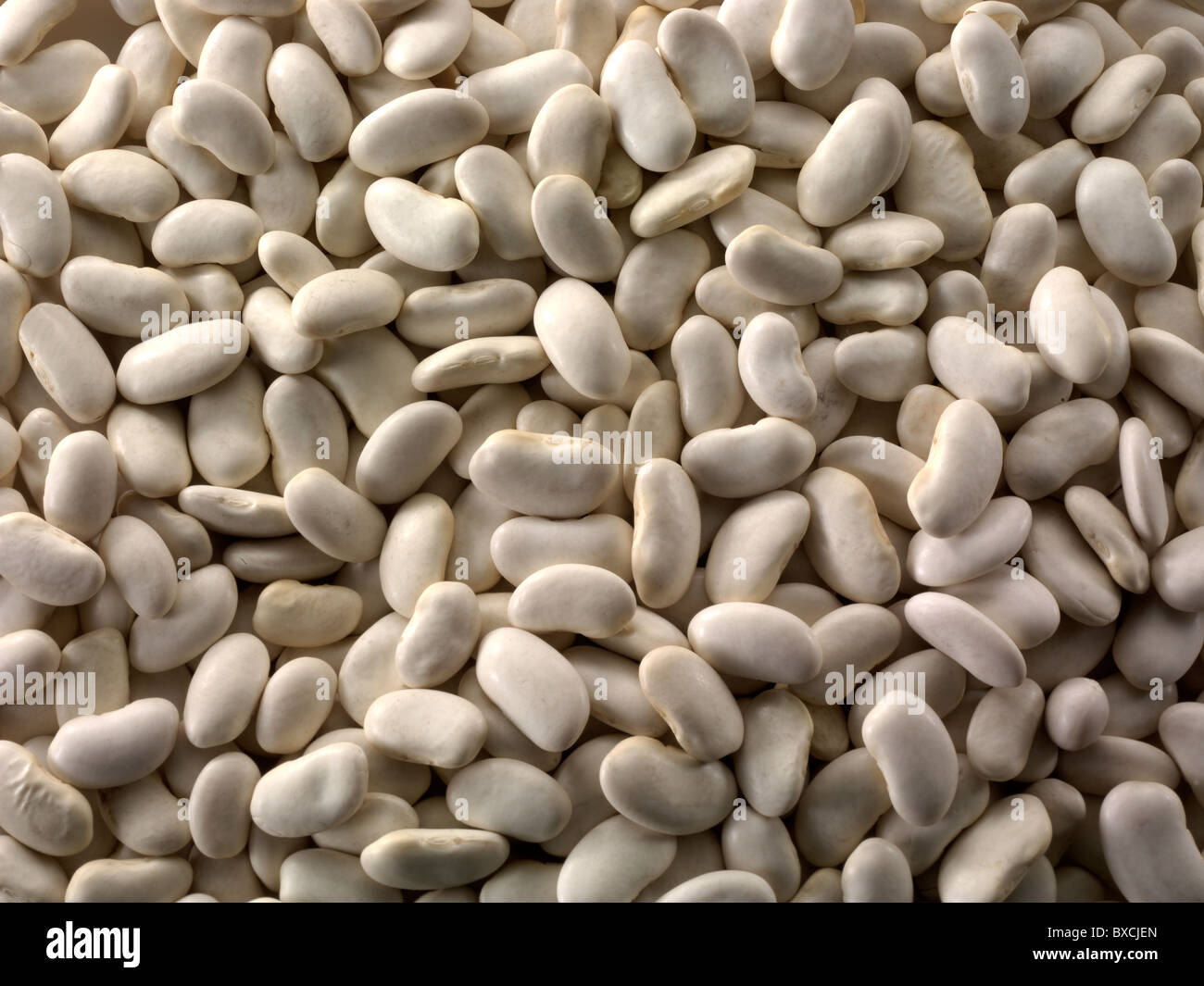 Whole Dermason beans Stock Photo - Alamy