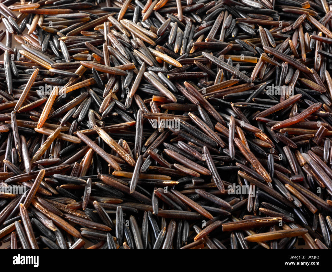Wild Rice grains - stock photos Stock Photo - Alamy
