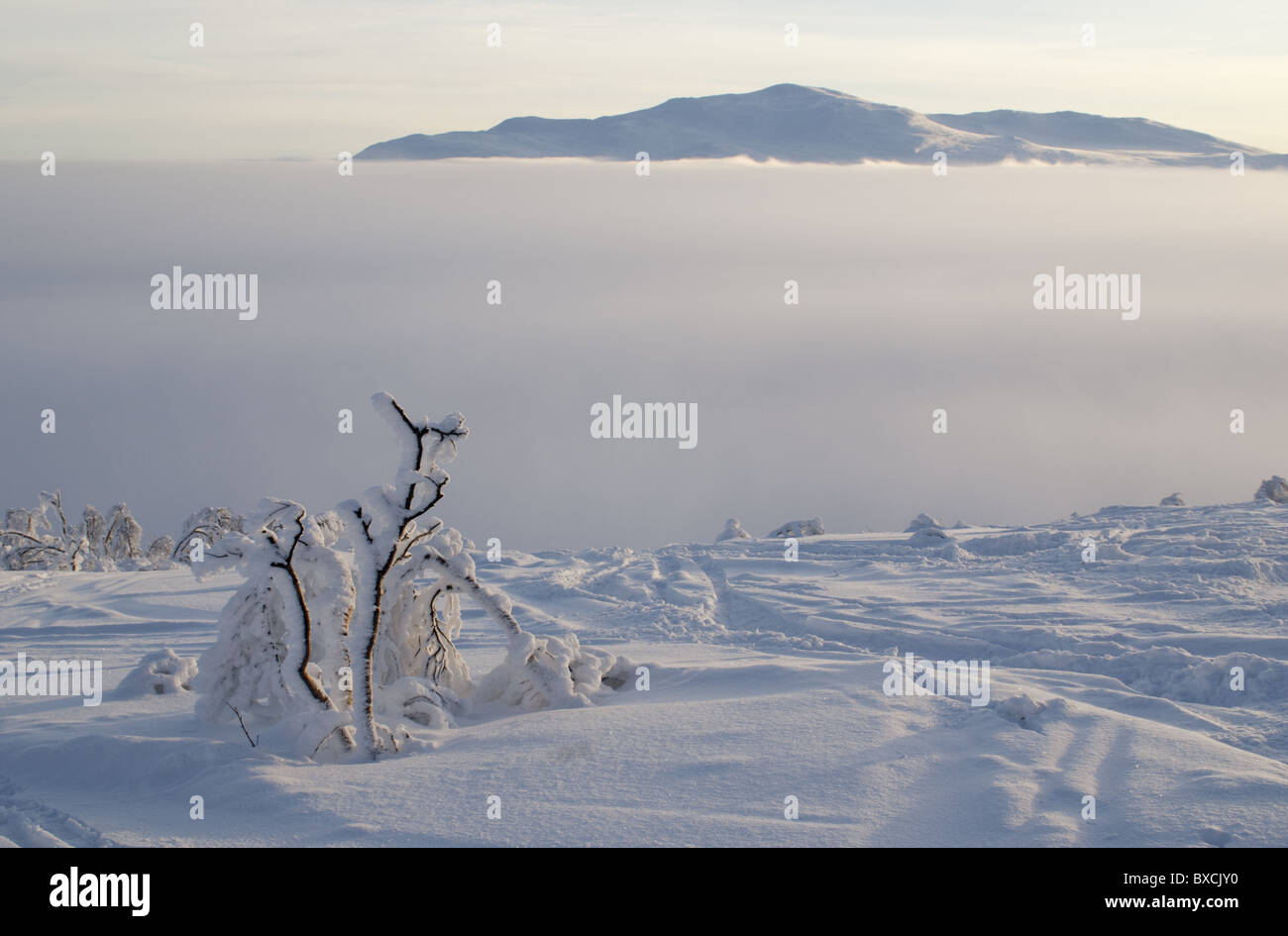 Bitter cold weather hi-res stock photography and images - Alamy