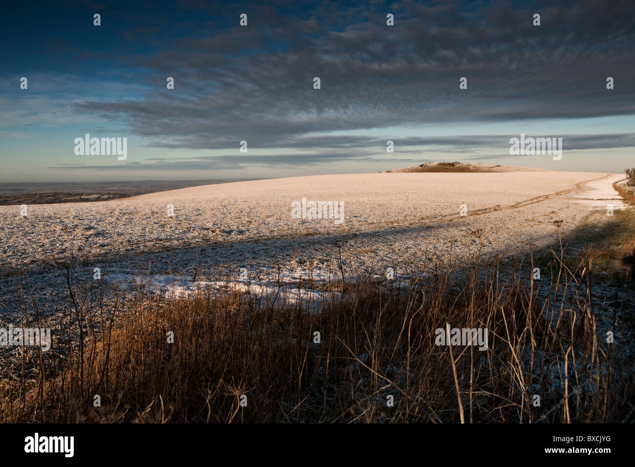 Winter on Melbury Down, Dorset Stock Photo - Alamy